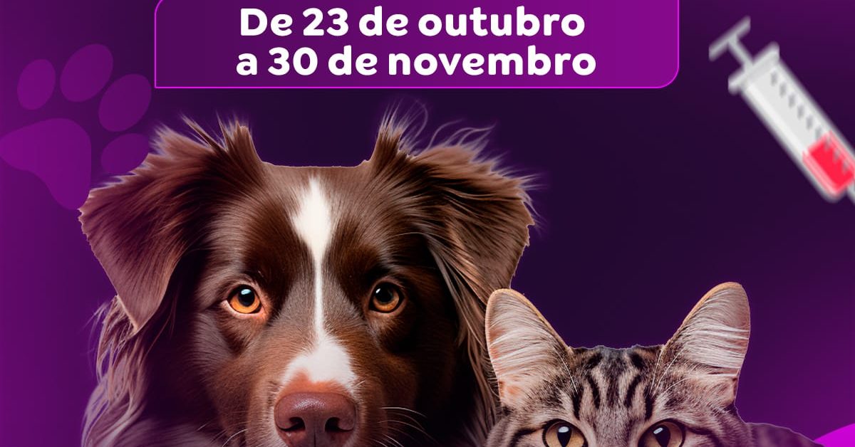 RAIVA: Até 30 de novembro Codó precisa vacinar 22.900 cães e gatos ...